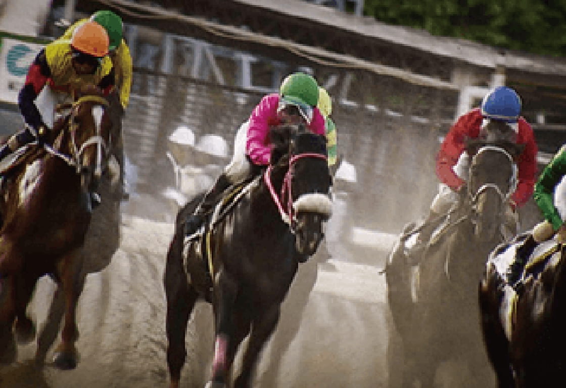 Welcome to Kawasaki Horse Racing | 川崎競馬 KAWASAKI KEIBA